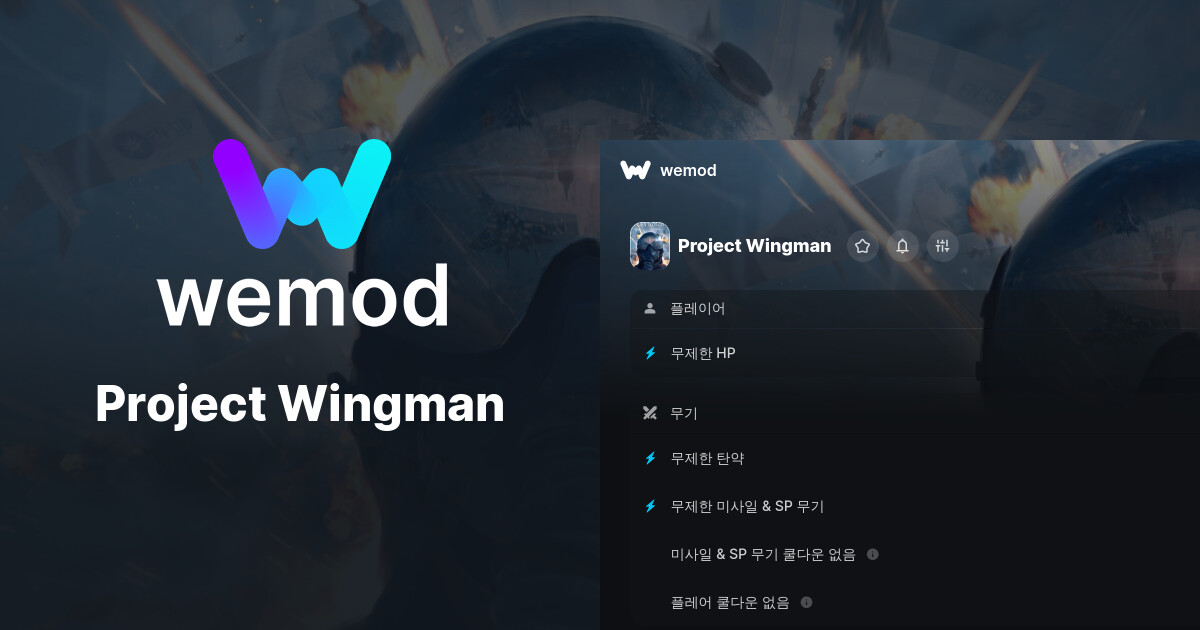 Project Wingman PC 버전 치트 및 트레이너 | WeMod