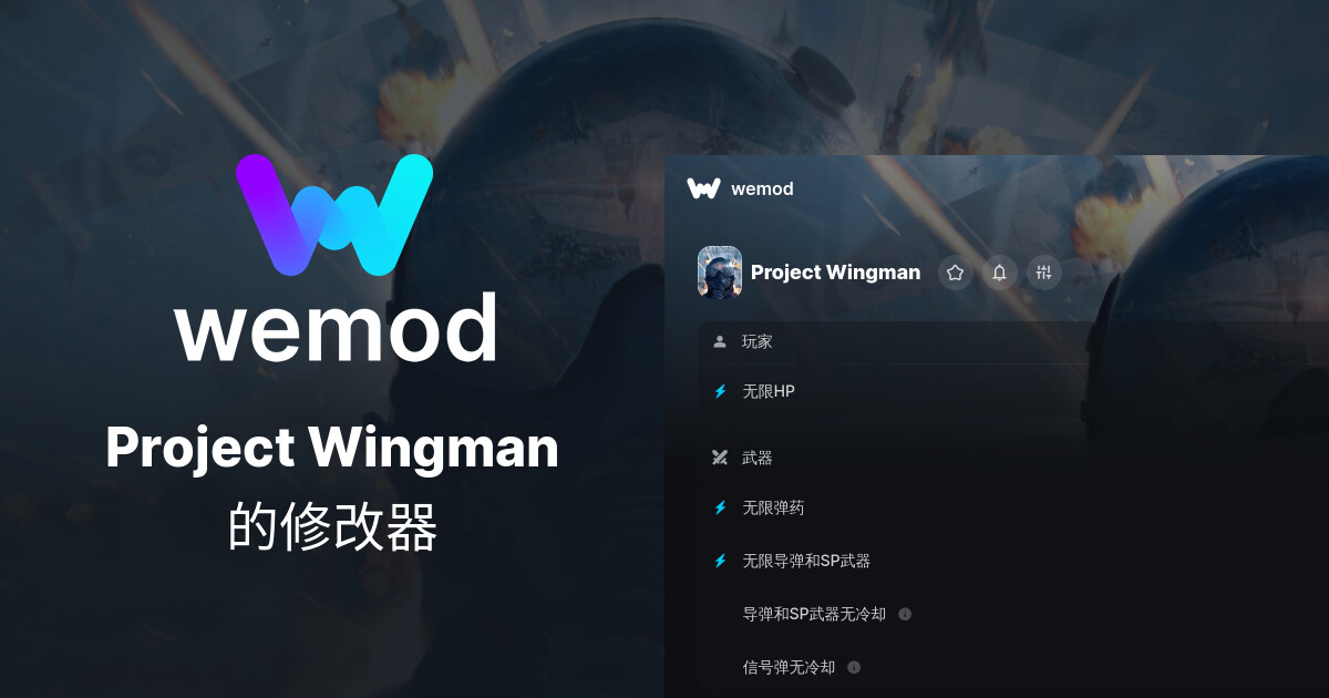 Steam 上 Project Wingman 的成就 | WeMod